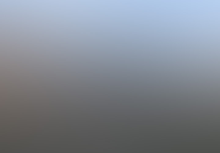 Joris Louis Gauliard